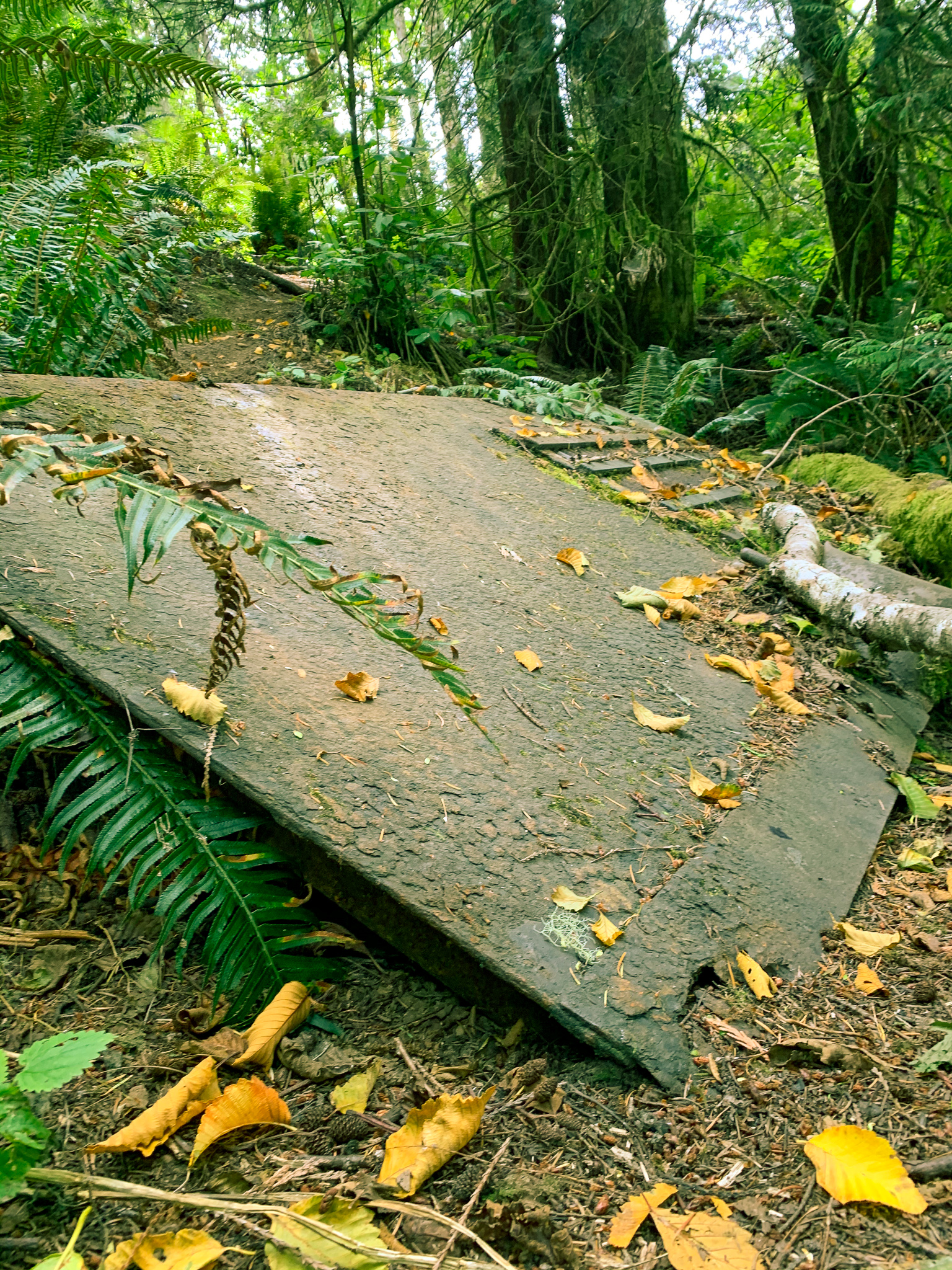 Camp Hayden Bunkers – The Olympic Adventures