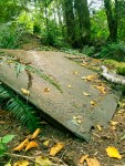 Camp Hayden Bunkers – The Olympic Adventures