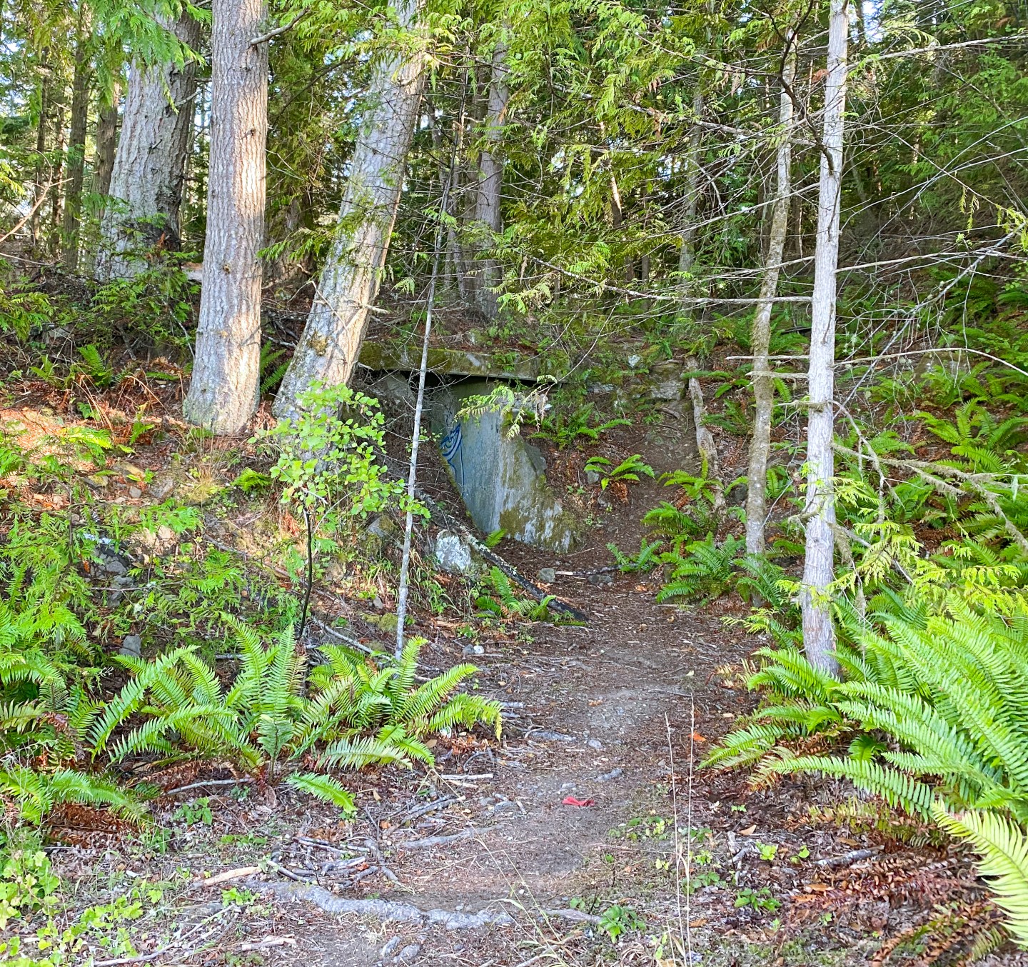 Camp Hayden Bunkers – The Olympic Adventures