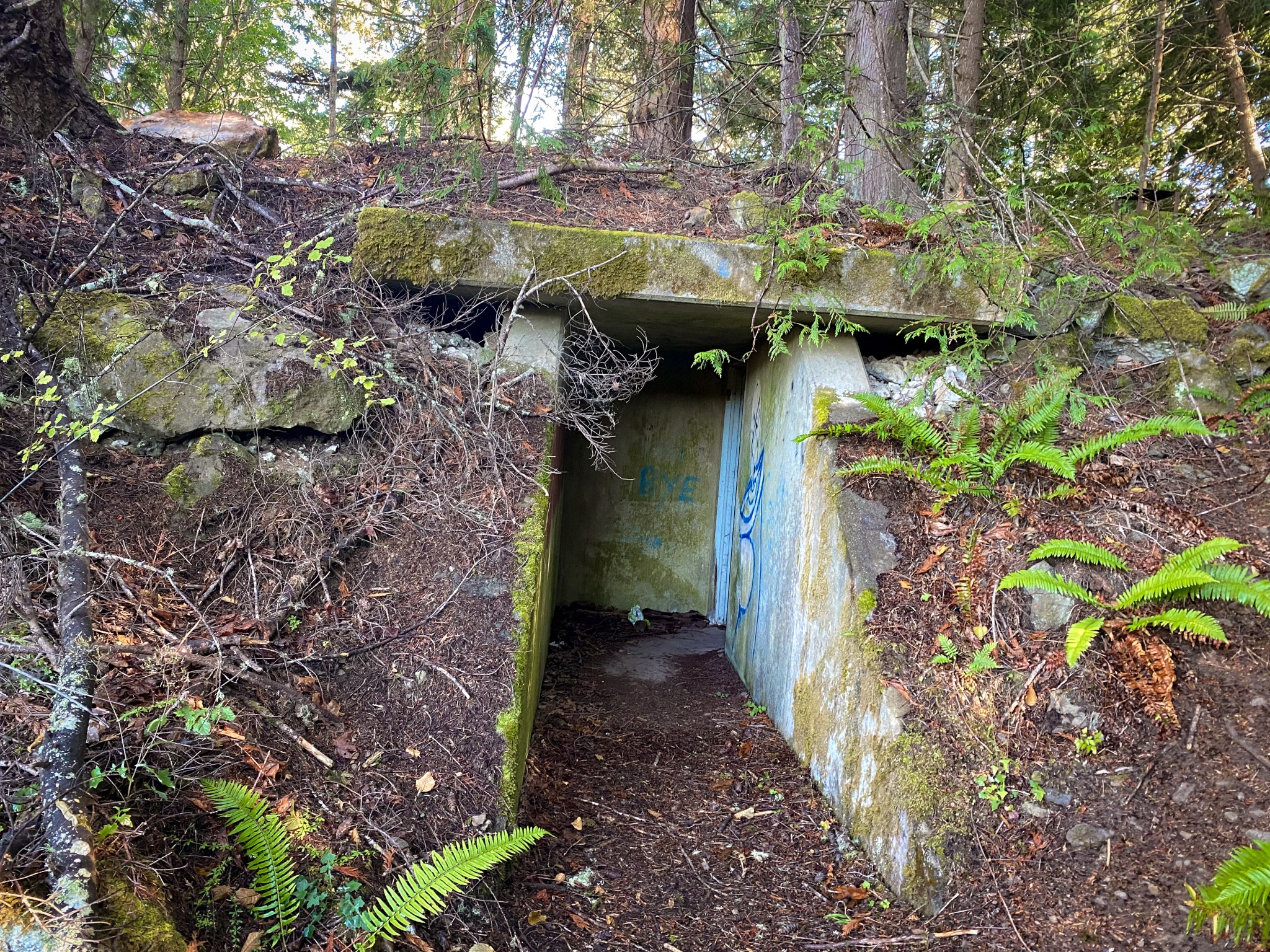 Camp Hayden Bunkers – The Olympic Adventures