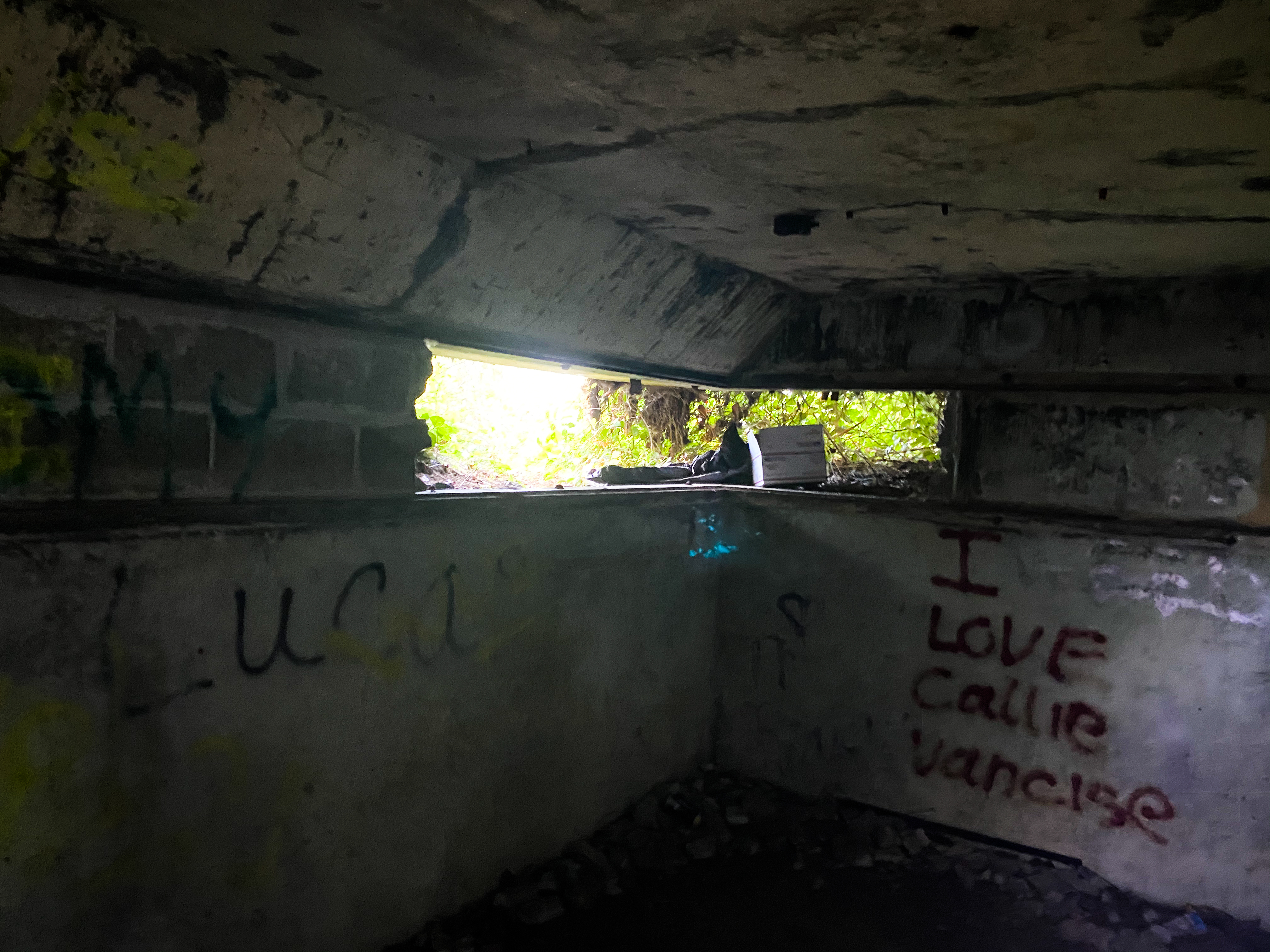 Camp Hayden Bunkers – The Olympic Adventures
