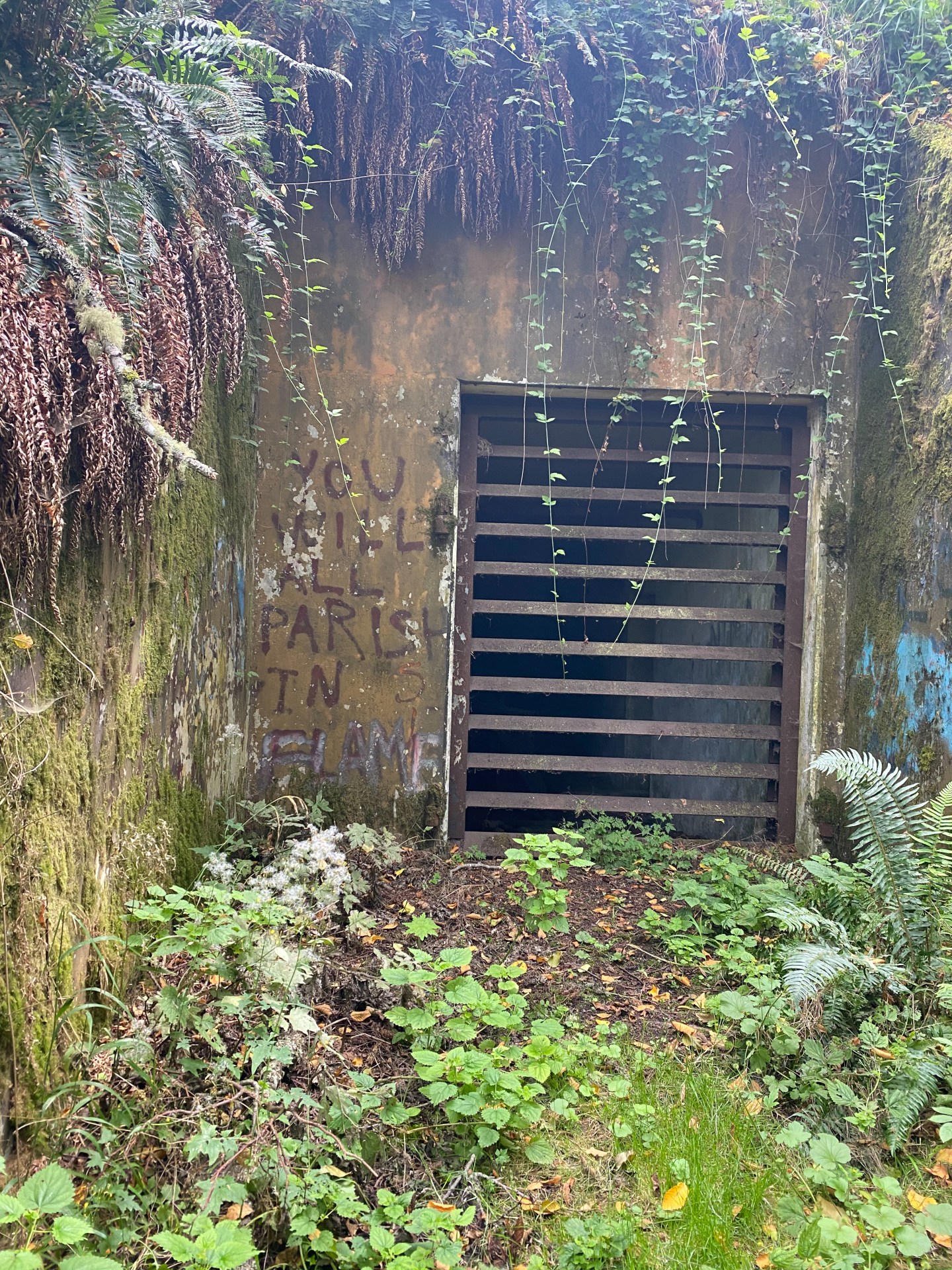 Camp Hayden Bunkers – The Olympic Adventures