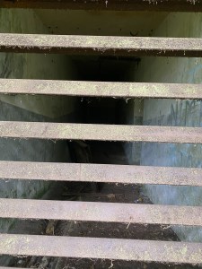 Camp Hayden Bunkers – The Olympic Adventures