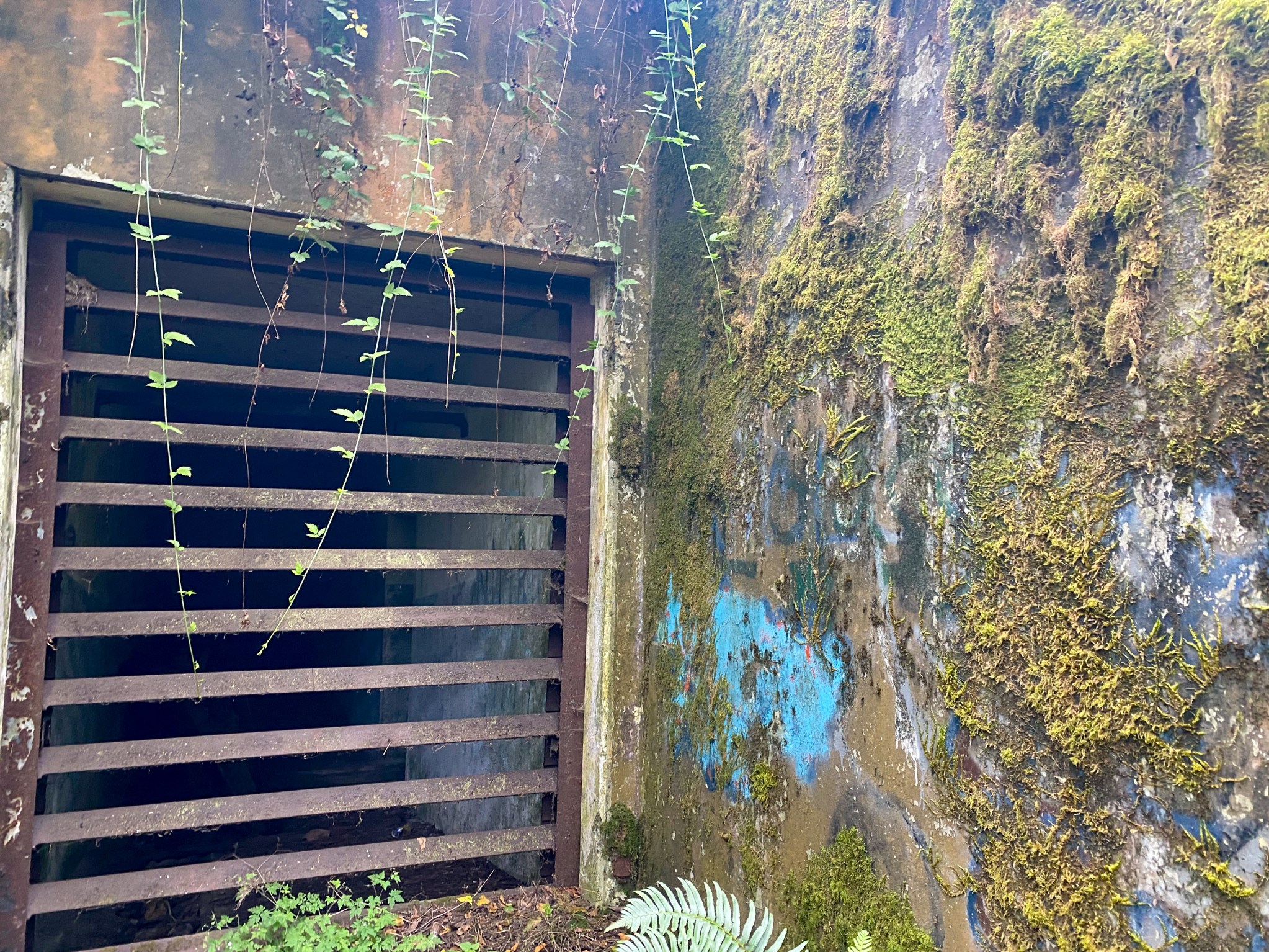 Camp Hayden Bunkers – The Olympic Adventures