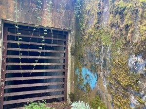 Camp Hayden Bunkers – The Olympic Adventures