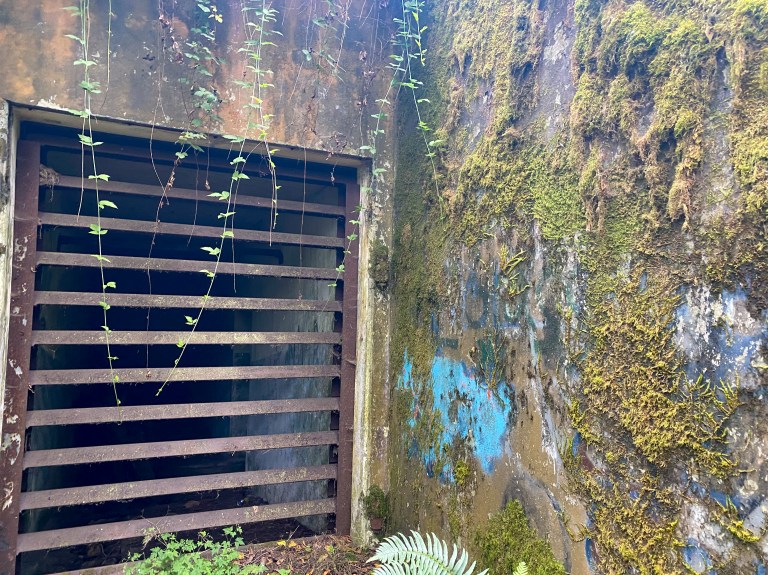 Camp Hayden Bunkers – The Olympic Adventures