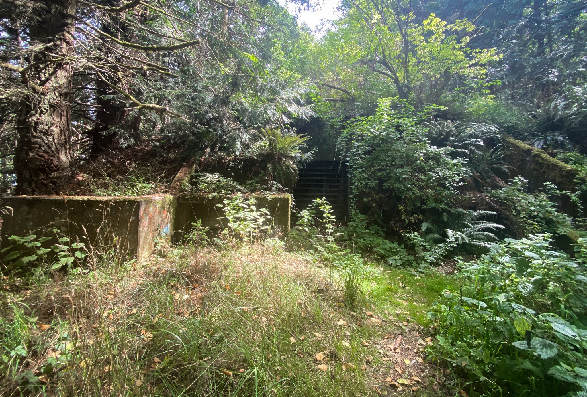 Camp Hayden Bunkers – The Olympic Adventures